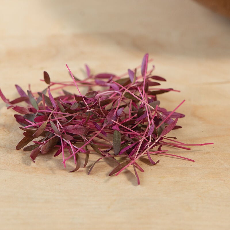 Micro Amaranth | Heron Creek Farms